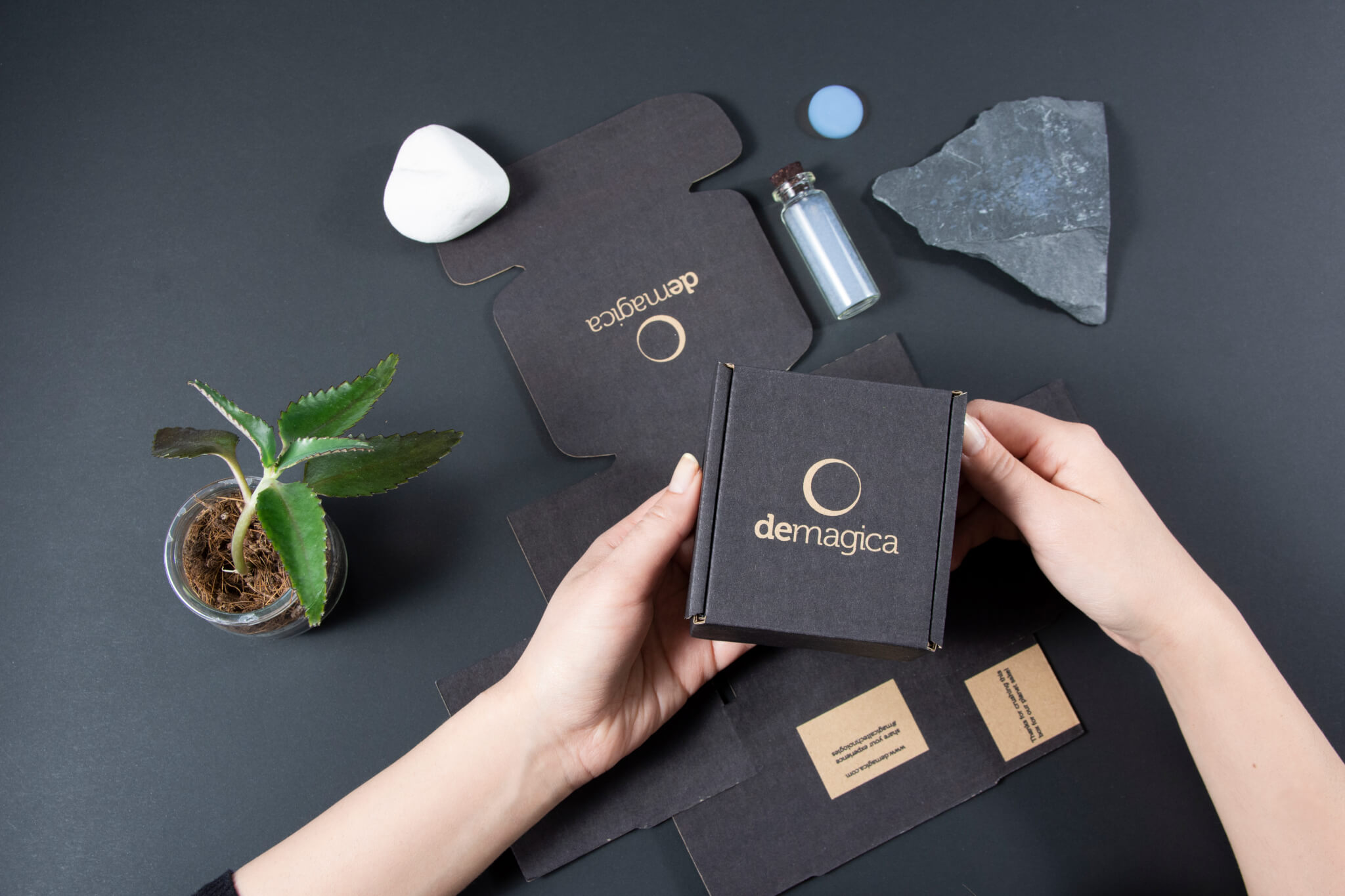 Demagica - Tailor-made boxes with an experimental twist - Packhelp
