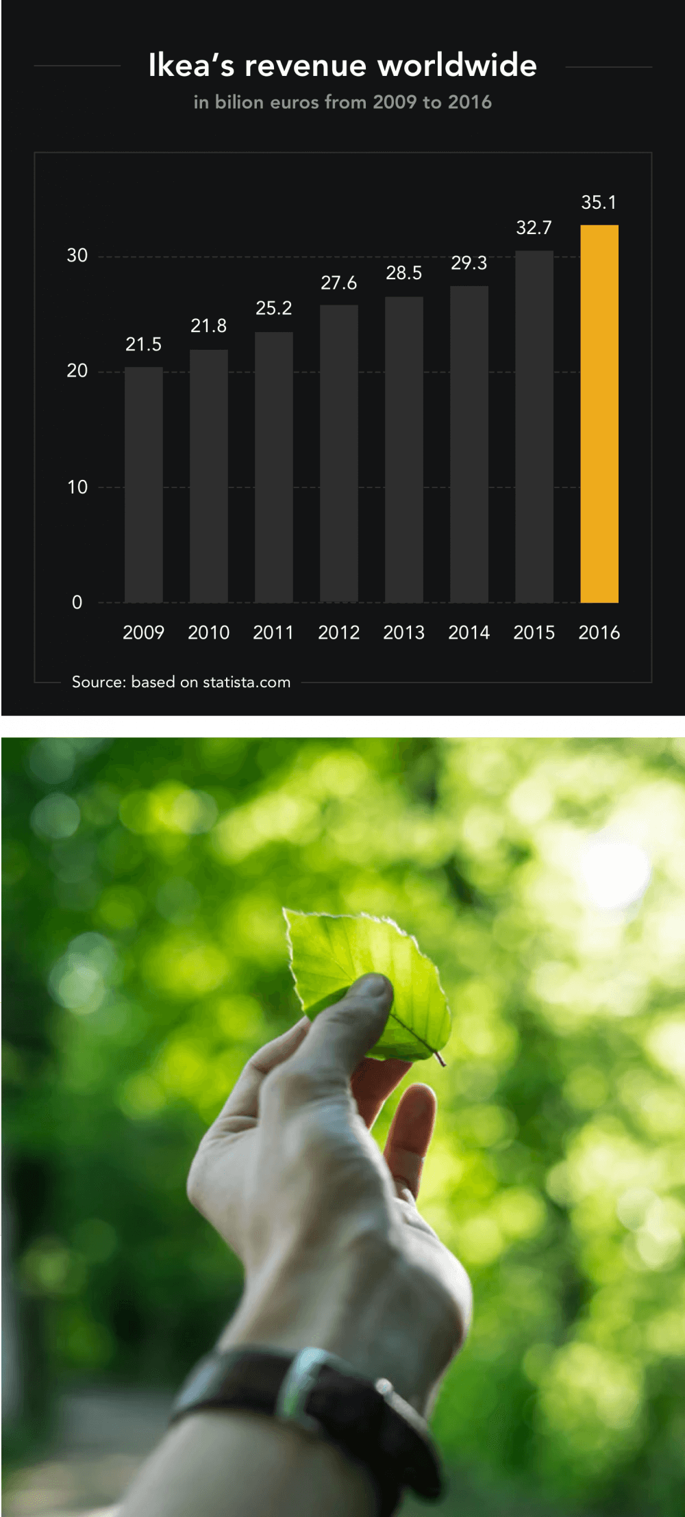 Mushroom-based Packaging: IKEA's Sustainable Supply Chain