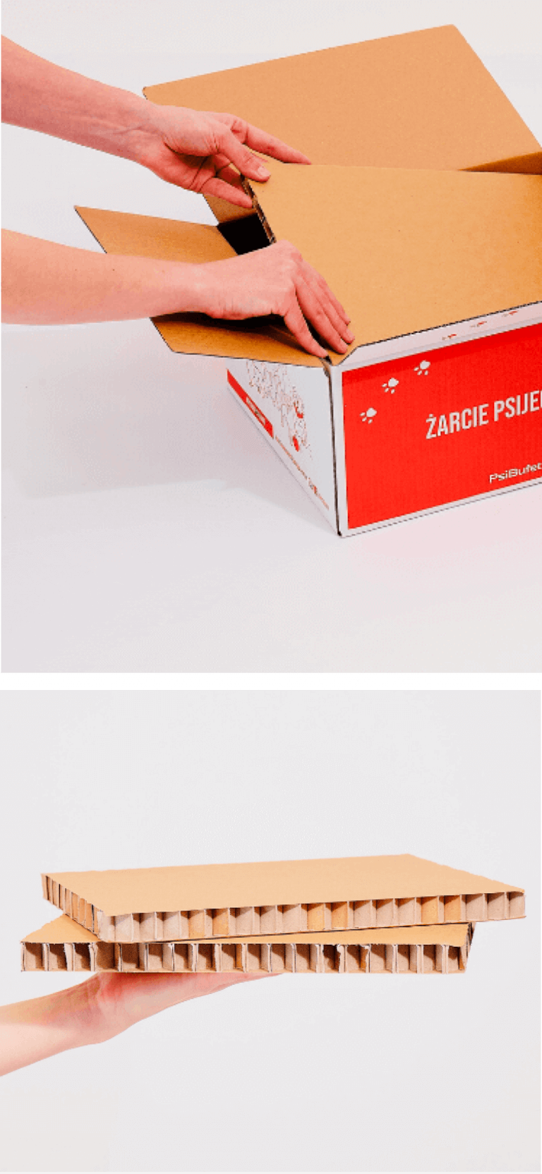 Revolutionary Packaging For Frozen Food Delivery | Case Study