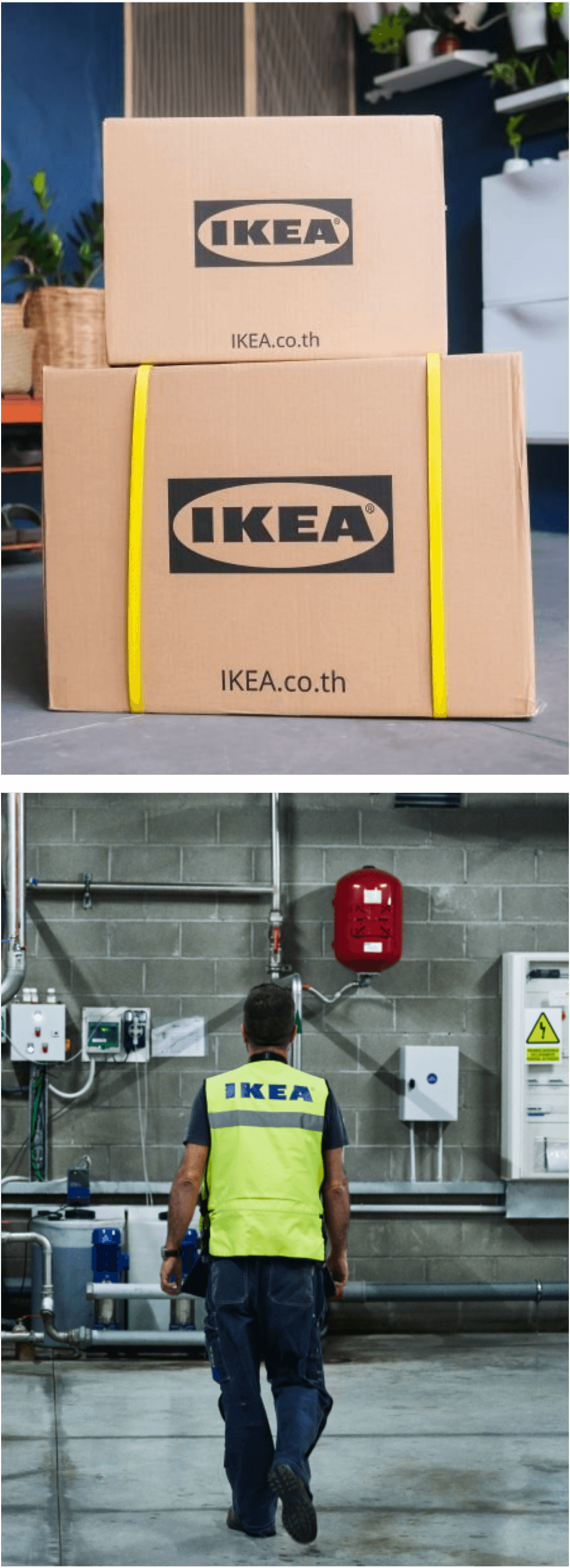 Mushroom-based Packaging: IKEA's Sustainable Supply Chain