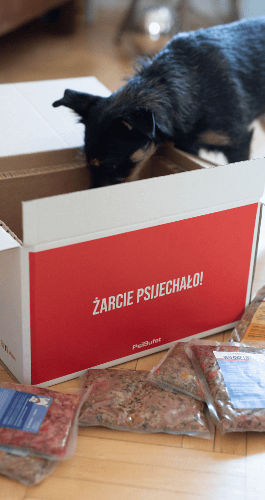 Revolutionary Packaging For Frozen Food Delivery | Case Study