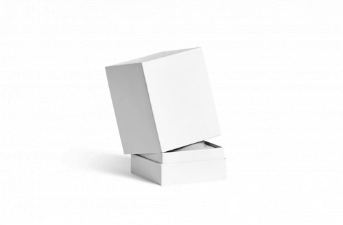 Revolutionary Packaging For Frozen Food Deliveries | Packhelp Case Study